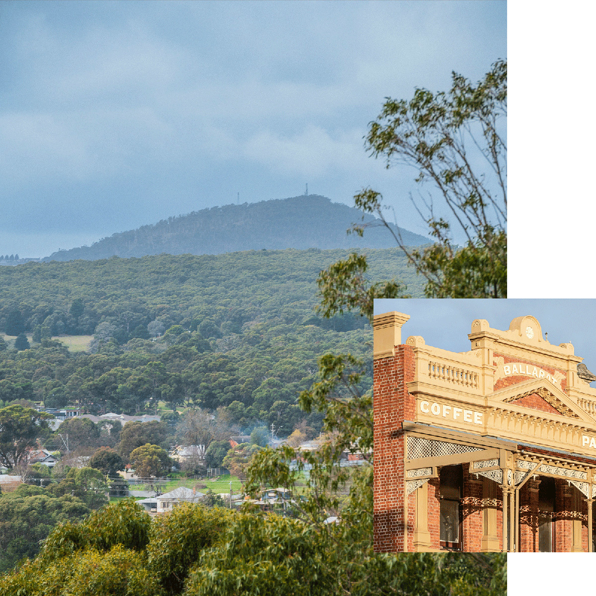 City of Ballarat | Jellis Craig