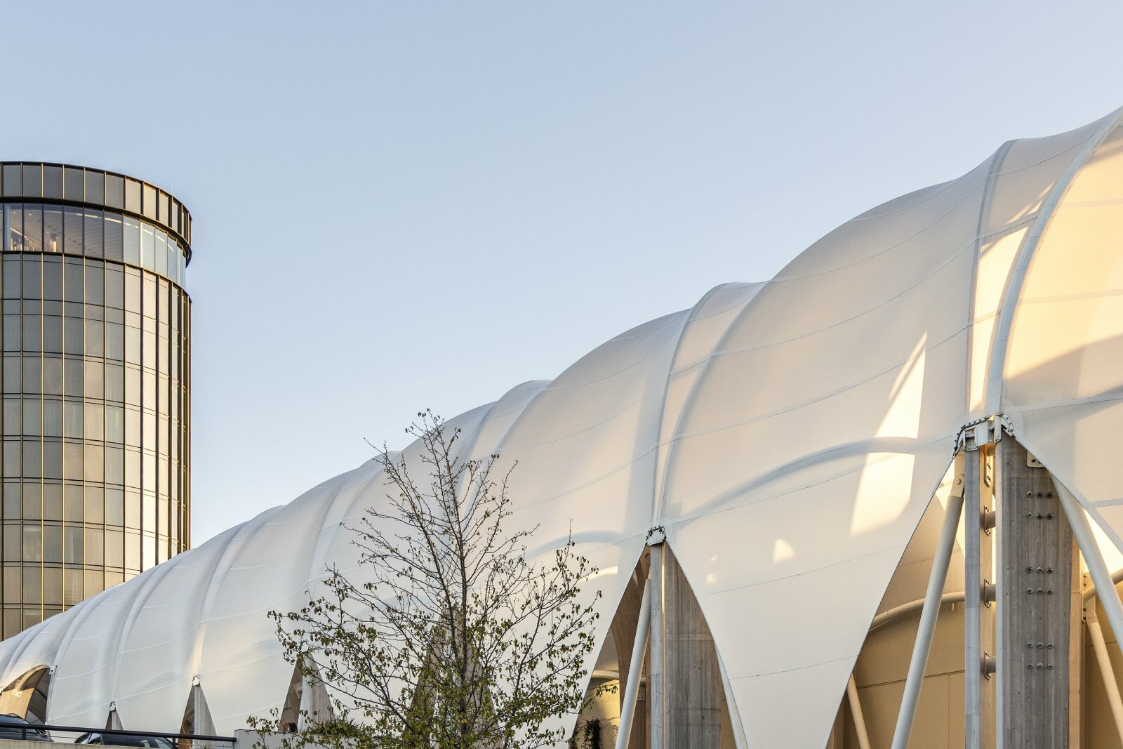 City of Monash | Jellis Craig