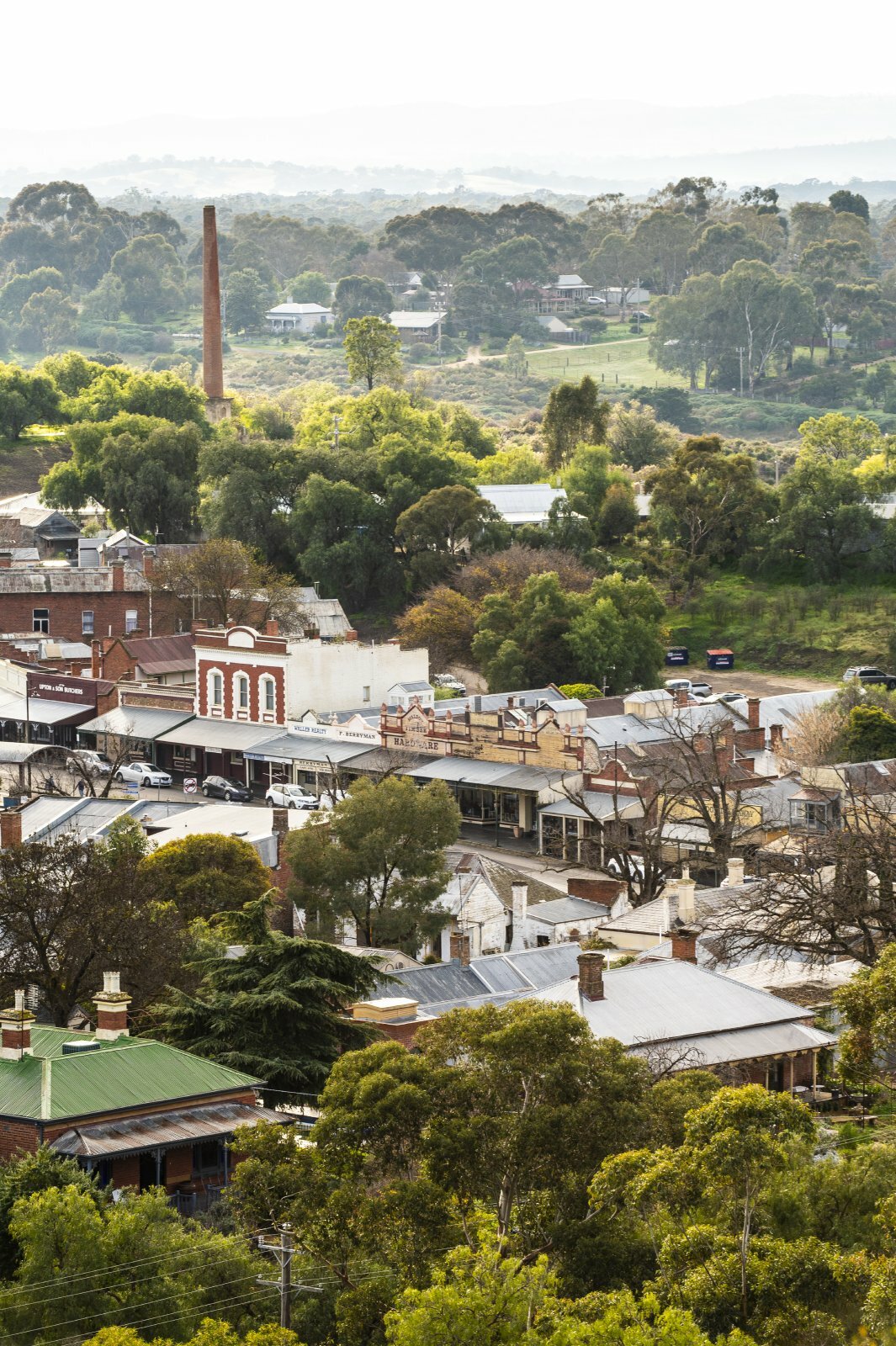 Mount Alexander Shire | Jellis Craig
