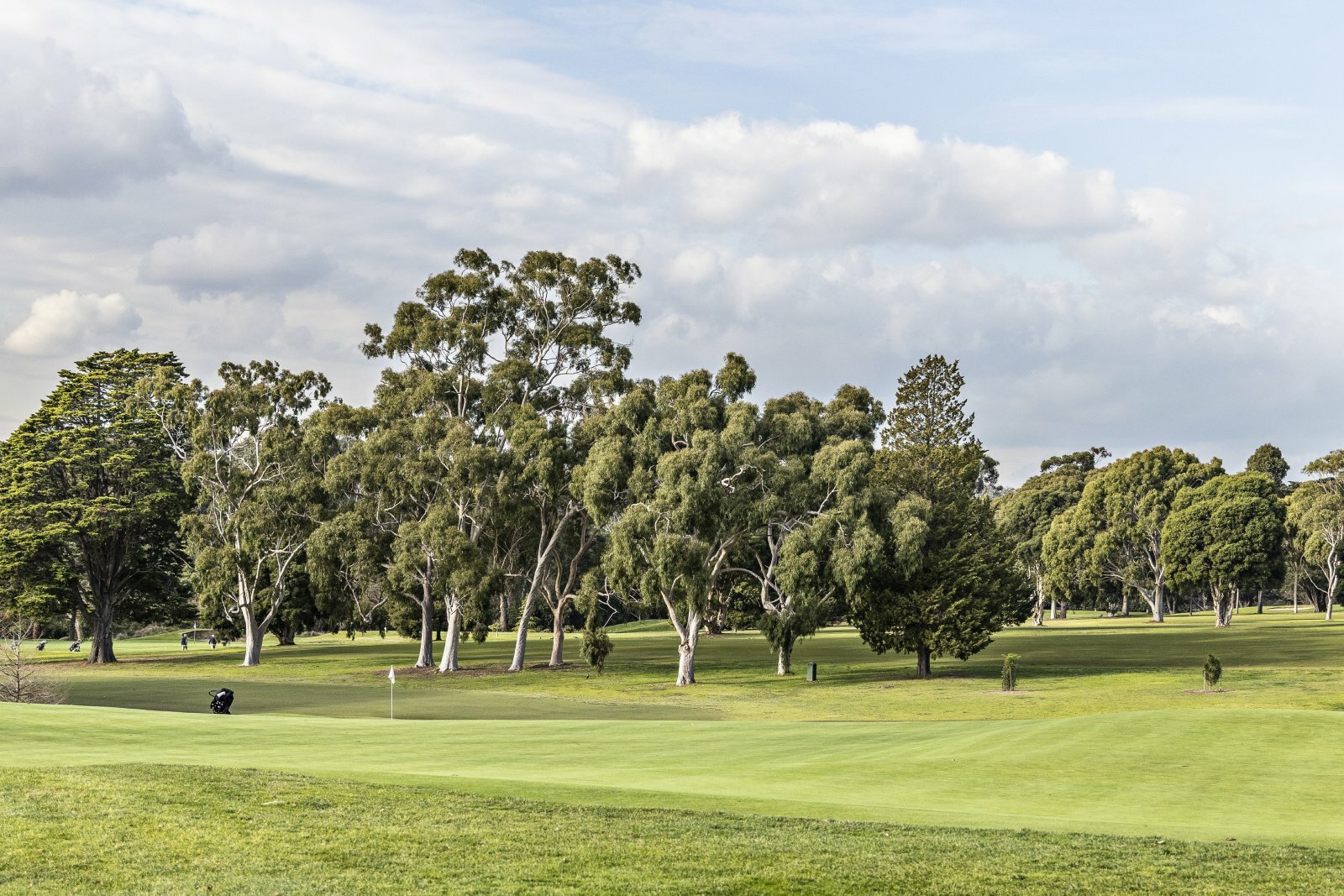 City of Monash | Jellis Craig