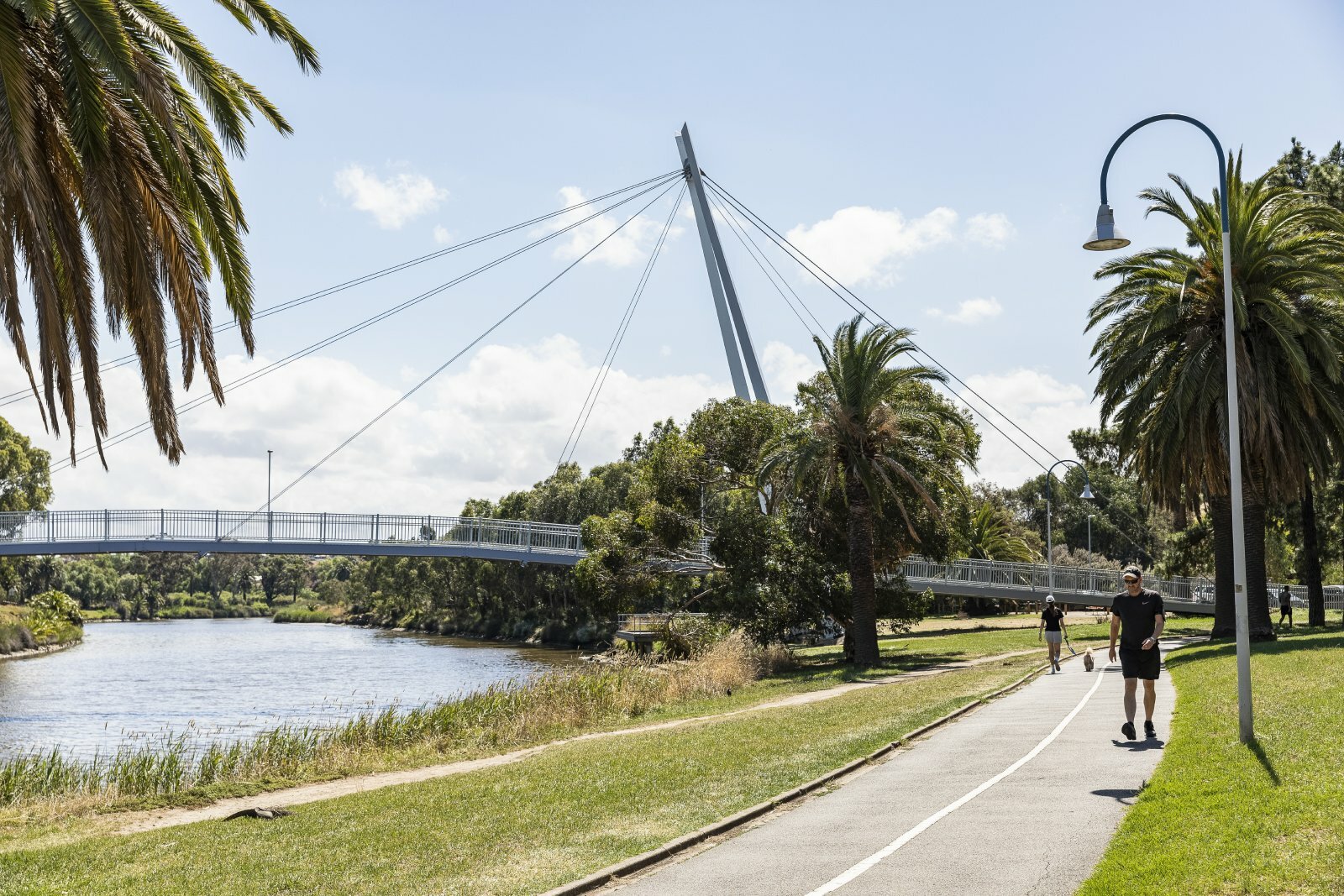 City of Moonee Valley | Jellis Craig